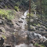 Whipple Trail, Utah - 297 Reviews, Map | AllTrails