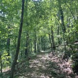 Albright Loop via the Appalachian Trail, Virginia - 693 Reviews, Map ...