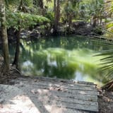 Cross Seminole Trail, Florida - 622 Reviews, Map | AllTrails
