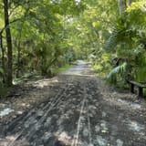 Cross Seminole Trail, Florida - 622 Reviews, Map | AllTrails