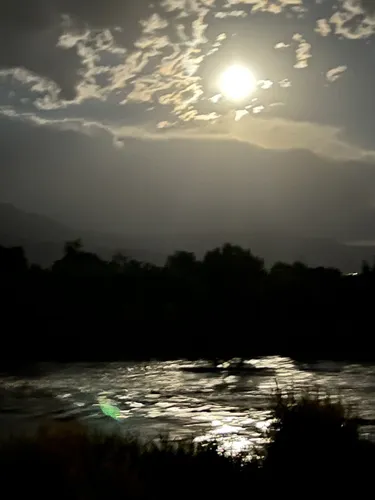 Best Hikes and Trails in Rio Rancho Bosque Nature Preserve | AllTrails