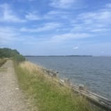 Greenbury Point Trail, Maryland - 938 Reviews, Map | AllTrails