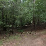 Peter's Creek Heritage Trail, South Carolina - 323 Reviews, Map | AllTrails