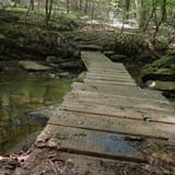 Peter's Creek Heritage Trail, South Carolina - 359 Reviews, Map | AllTrails