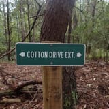 Peter's Creek Heritage Trail, South Carolina - 323 Reviews, Map | AllTrails