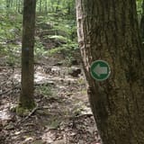 Peter's Creek Heritage Trail, South Carolina - 359 Reviews, Map | AllTrails