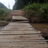 Peter's Creek Heritage Trail, South Carolina - 323 Reviews, Map | AllTrails