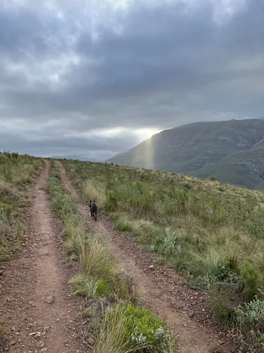 10 Best Trails and Hikes in Greyton | AllTrails