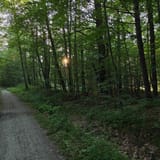 Rockingham Recreational Rail Trail, New Hampshire - 249 Reviews, Map ...