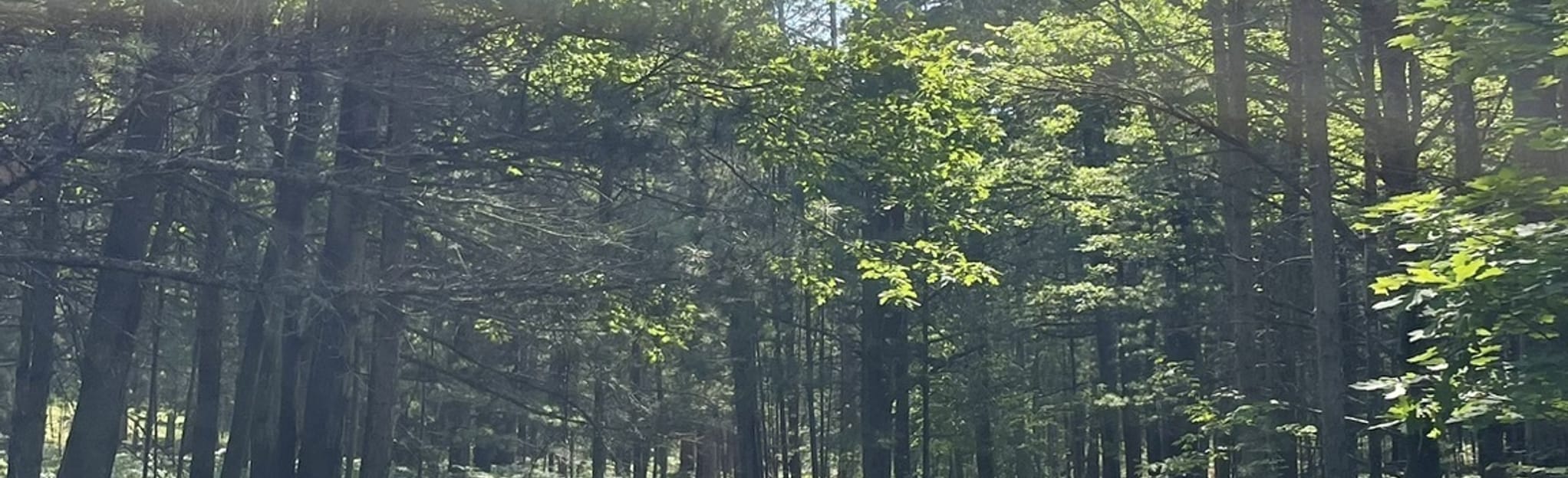 Turquoise Loop, Ontario, Canada - 146 Reviews, Map | AllTrails