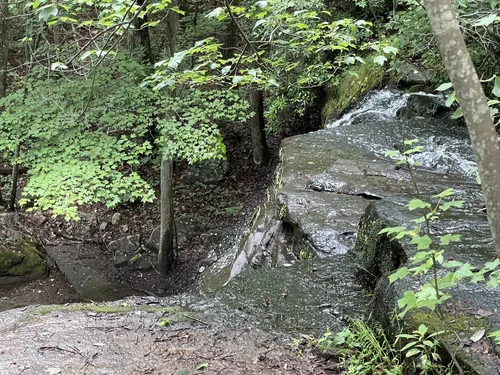 Best Hikes and Trails in Comer Scout Reservation | AllTrails