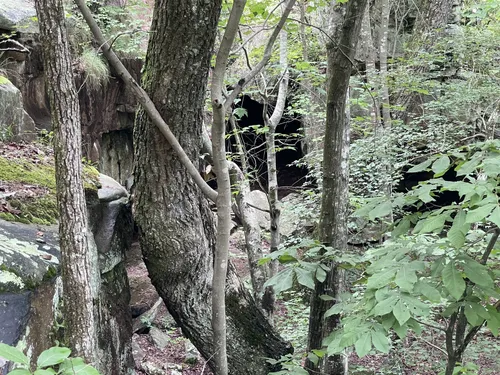 Best Hikes and Trails in Comer Scout Reservation | AllTrails