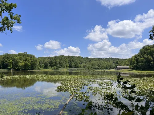 10 Best Trails and Hikes in Peninsula | AllTrails