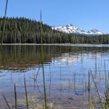 Scott Mountain Loop Trail, Oregon - 197 Reviews, Map | AllTrails