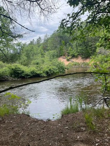 2023 Best Forest Trails in Trego | AllTrails