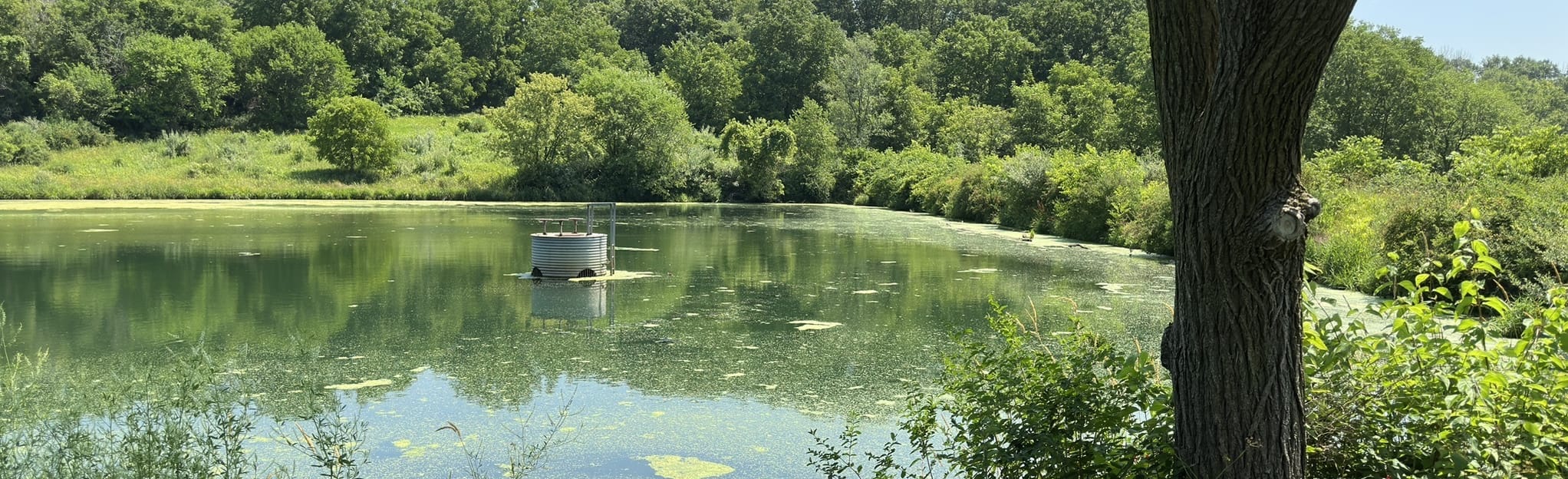 Morrison Rockwood Equestrian Trail Loop, Illinois - 42 Reviews, Map ...