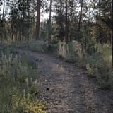 Painted Rocks Nature Trail, Washington - 715 Reviews, Map | AllTrails