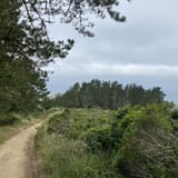 Sweeney Ridge Trail via Mori Ridge, California - 1,760 Reviews, Map ...