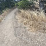 Sweeney Ridge Trail via Mori Ridge, California - 1,760 Reviews, Map ...