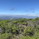 Sweeney Ridge Trail via Mori Ridge, California - 1,535 Reviews, Map ...