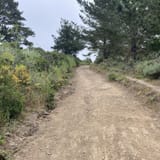 Sweeney Ridge Trail via Mori Ridge, California - 1,760 Reviews, Map ...