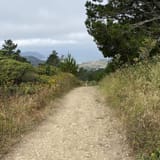 Sweeney Ridge Trail via Mori Ridge, California - 1,760 Reviews, Map ...