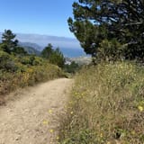 Sweeney Ridge Trail via Mori Ridge, California - 1,535 Reviews, Map ...