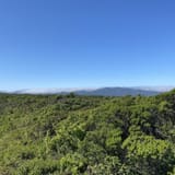 Sweeney Ridge Trail via Mori Ridge, California - 1,535 Reviews, Map ...