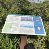 Sweeney Ridge Trail via Mori Ridge, California - 1,535 Reviews, Map ...