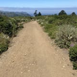 Sweeney Ridge Trail via Mori Ridge, California - 1,535 Reviews, Map ...