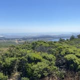 Sweeney Ridge Trail via Mori Ridge, California - 1,535 Reviews, Map ...