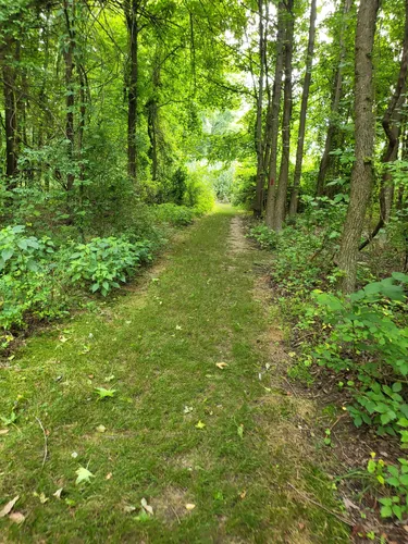 2023 Best Easy Trails in Sparrows Point | AllTrails