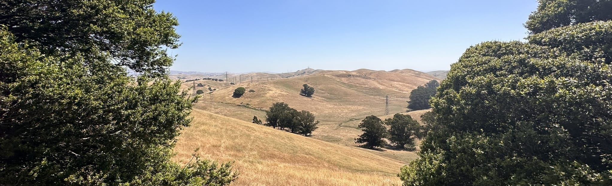 Prarie Ridge Trail: 27 Reviews, Map - California | AllTrails