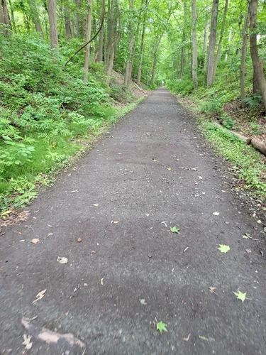 2023 Best Easy Trails in Sparrows Point | AllTrails