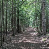 Potato Field and Maple Grove Trail Loop, New York - 359 Reviews, Map ...