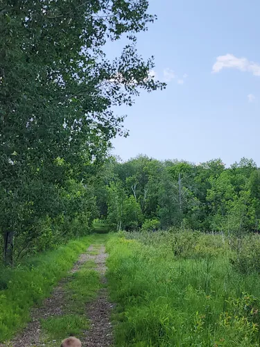 Best Hikes and Trails in Spruce Hill County Park | AllTrails
