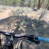 Peterson Ridge Trail, Oregon - 493 Reviews, Map | AllTrails