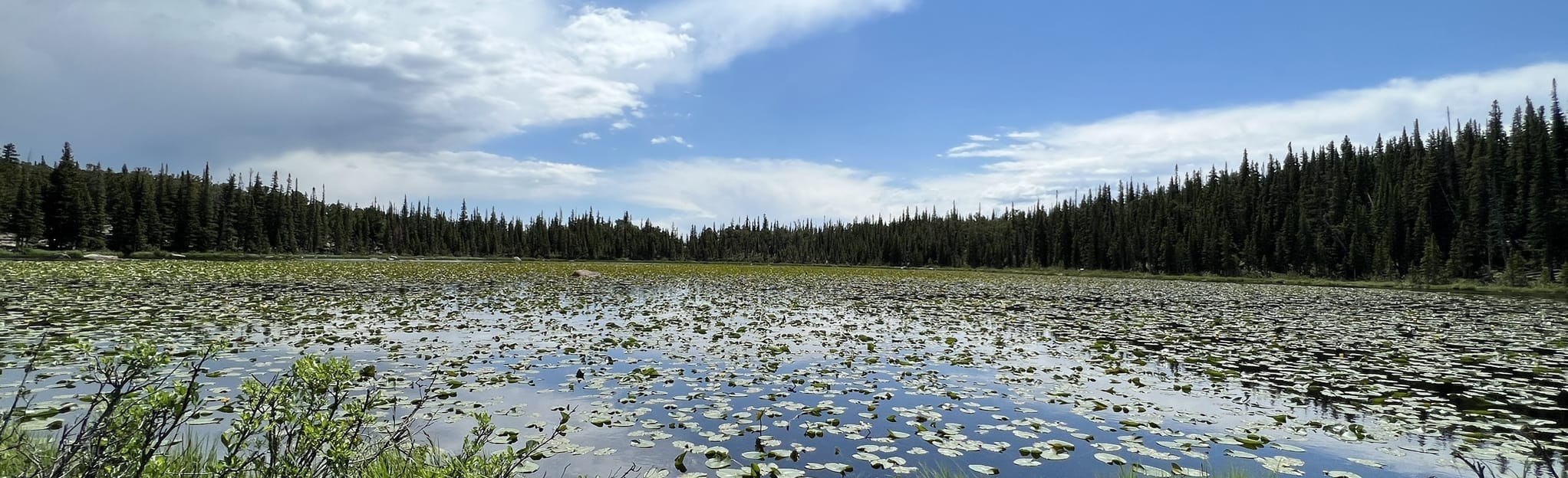 AllTrails | Sourdough Trail to South St. Vrain Trail Loop: 424 Reviews ...