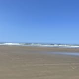 Bayocean Peninsula, Oregon - 644 Reviews, Map | AllTrails