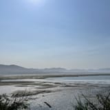 Bayocean Peninsula, Oregon - 644 Reviews, Map | AllTrails
