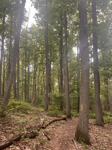 Best Hikes and Trails in Raglan Road Park | AllTrails