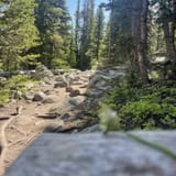 Sourdough Trail to South St. Vrain Trail Loop, Colorado - 461 Reviews ...