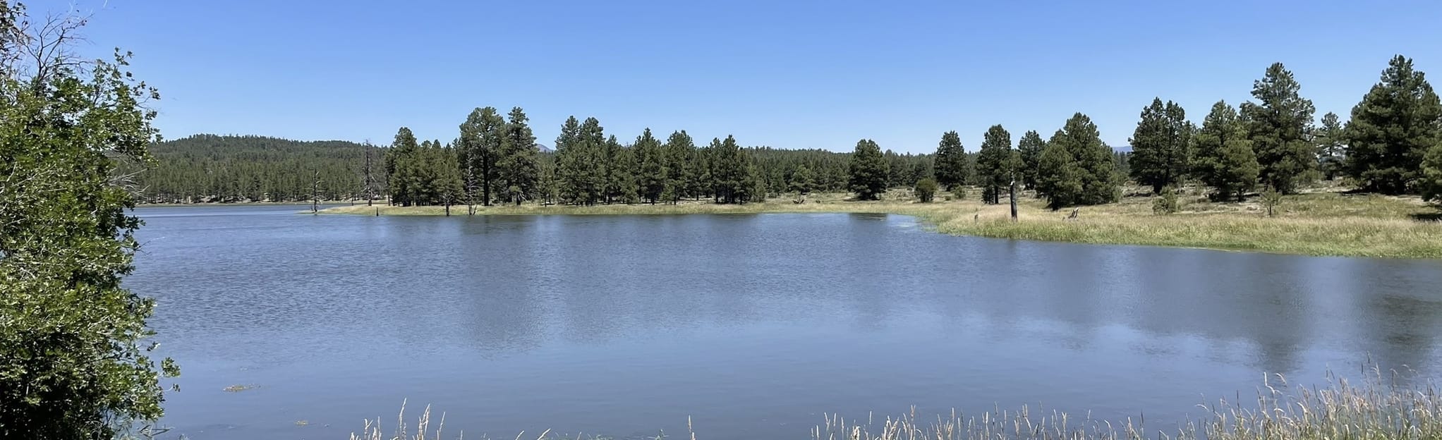 Scholz Lake, Arizona - 20 Reviews, Map | AllTrails