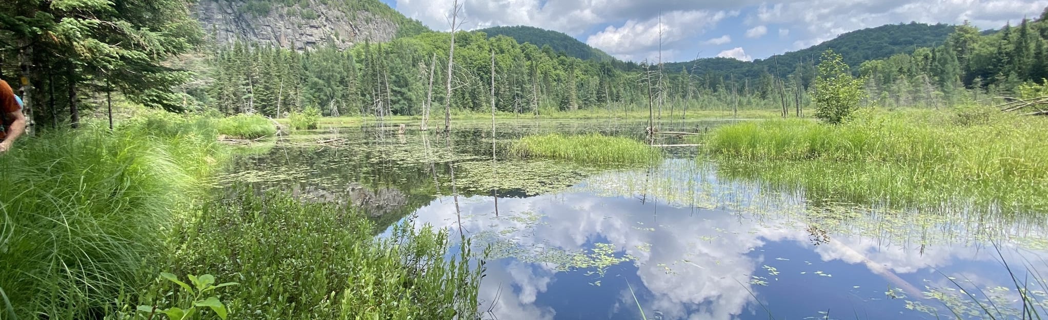 AllTrails | Mount Jonathan: 32 Reviews, Map - Quebec, Canada