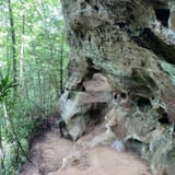 Silvermine Arch via Rough Trail, Kentucky - 120 Reviews, Map | AllTrails