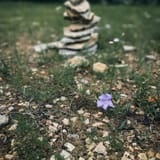 Hickory Ridge Outer Trail, Tennessee - 385 Reviews, Map | AllTrails