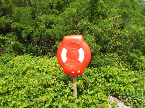 Best Hikes and Trails in Doctors Park | AllTrails