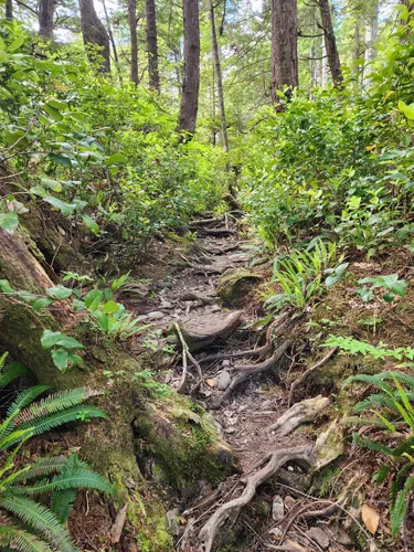 Best Hikes and Trails in Raft Cove Provincial Park | AllTrails