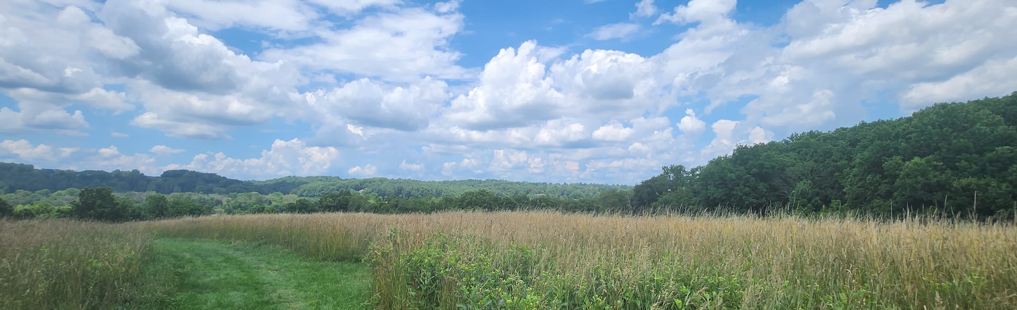 ChesLen Preserve Red Trail to Purple Loop Trail, Pennsylvania - 318 ...