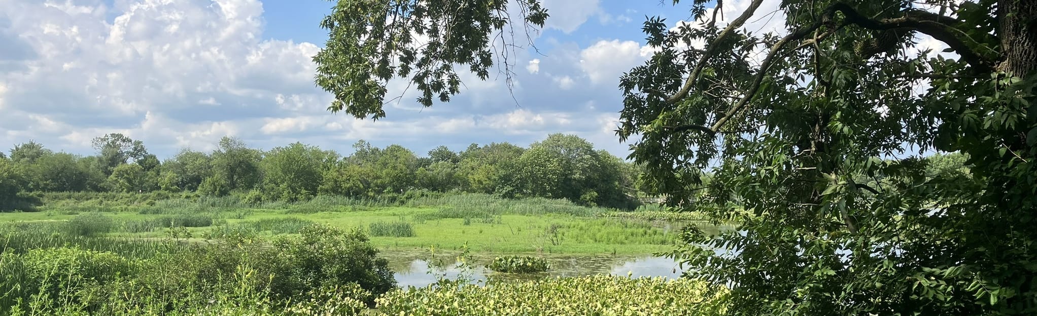John Heinz Lake Loop, Pennsylvania - 1,388 Reviews, Map | AllTrails